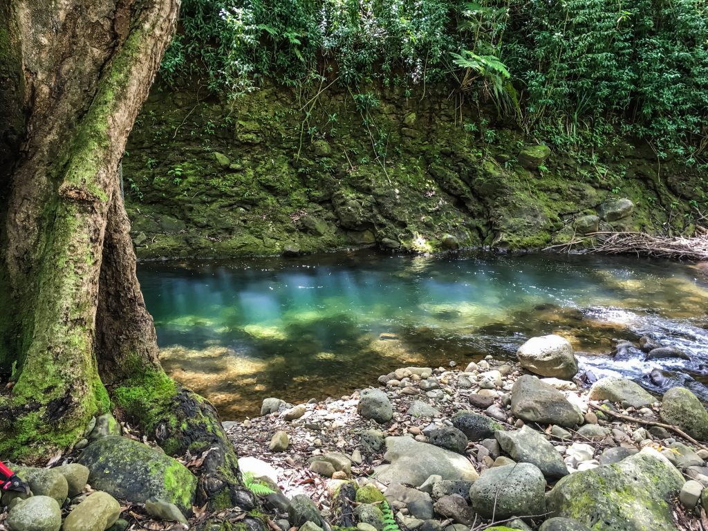 Kahana Valley - Hawaiian Trail & Mountain Corp.