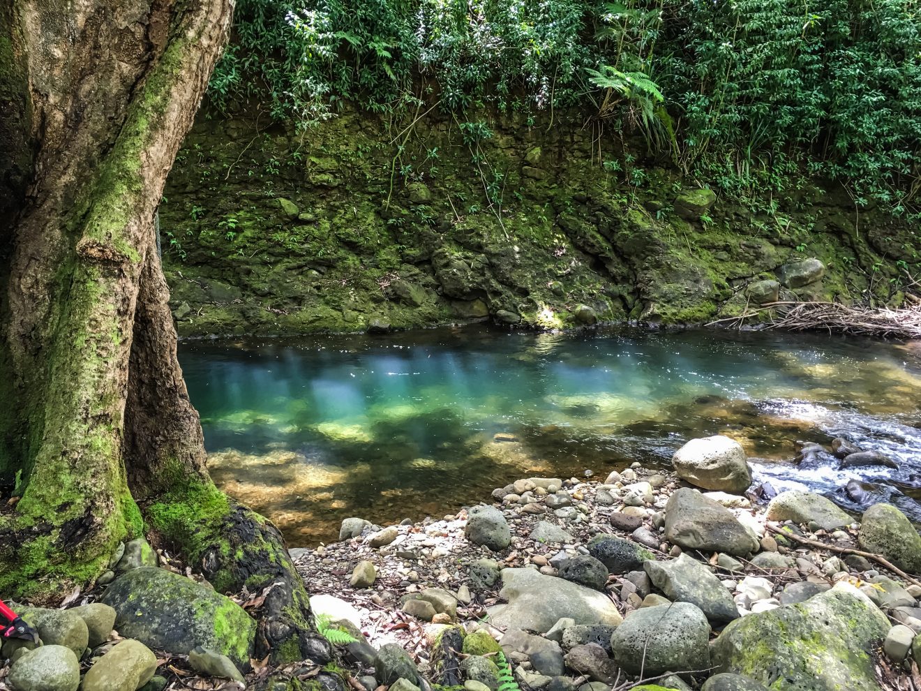 Kahana Valley - Hawaiian Trail & Mountain Corp.