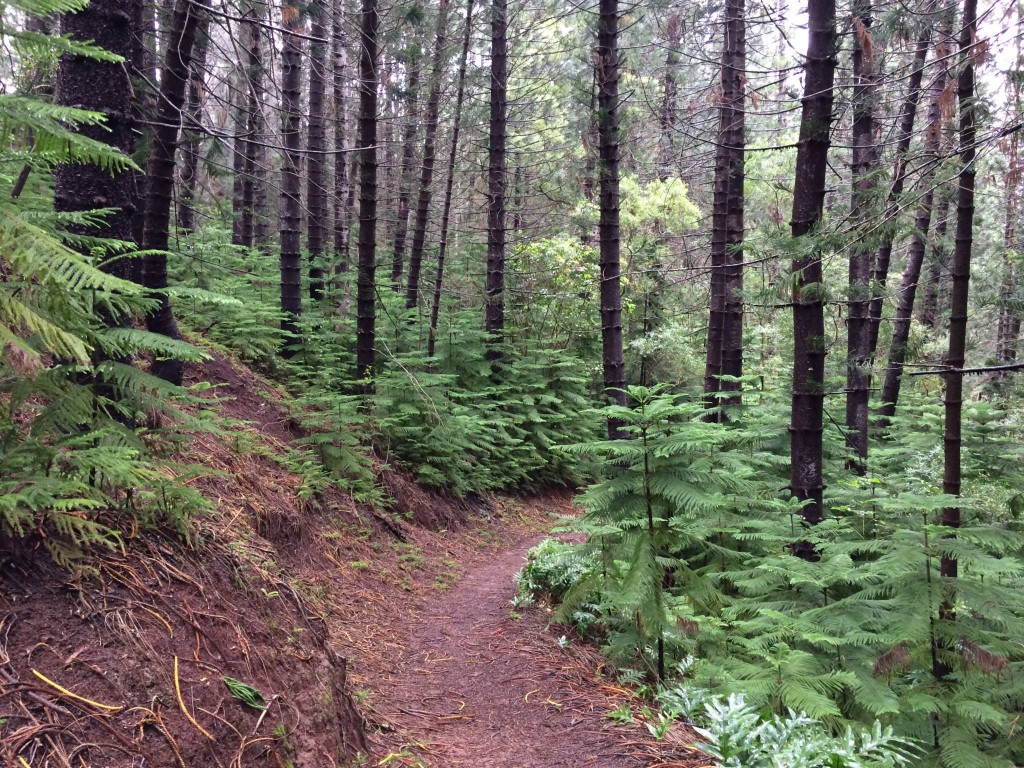 Hau'ula Loop - Hawaiian Trail & Mountain Corp.