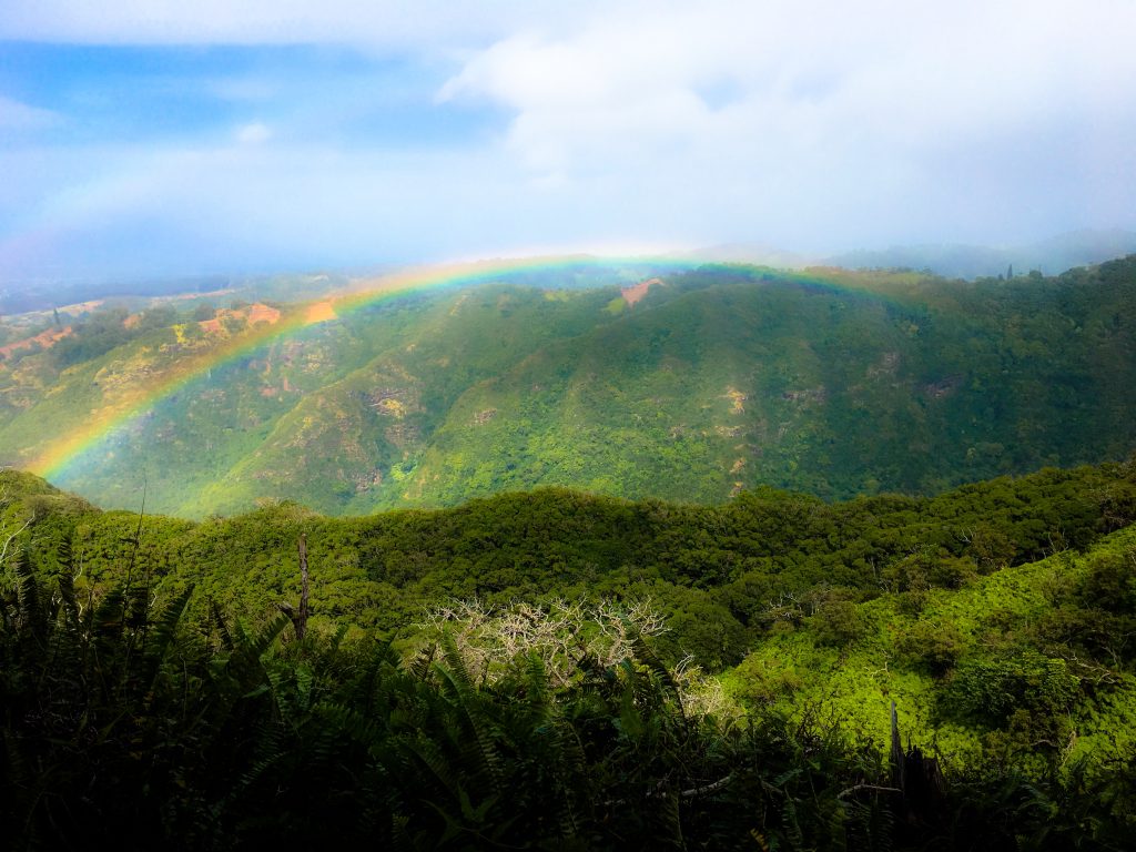 Tripler Ridge - Hawaiian Trail & Mountain Corp.