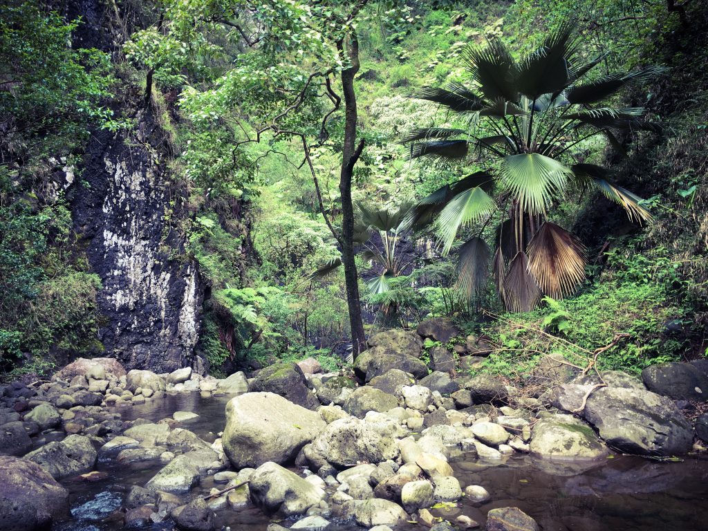 Koloa Gulch - Hawaiian Trail & Mountain Corp.