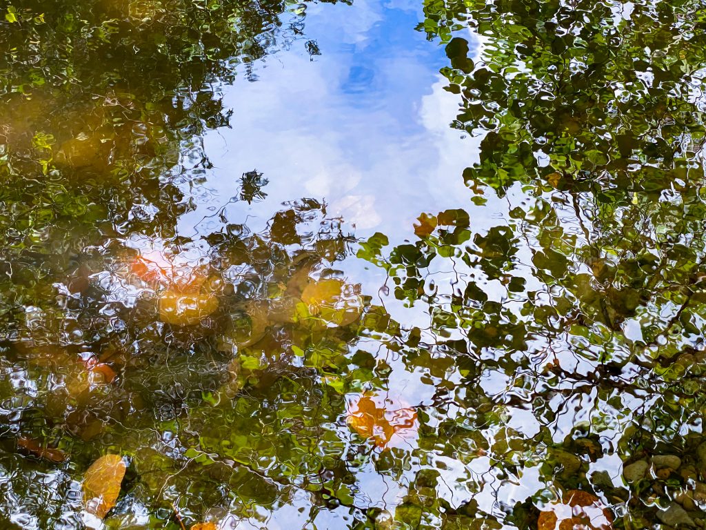 Waimano Pool - Hawaiian Trail & Mountain Corp.