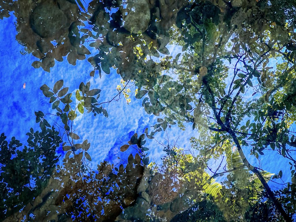 Waimano Pool - Hawaiian Trail & Mountain Corp.