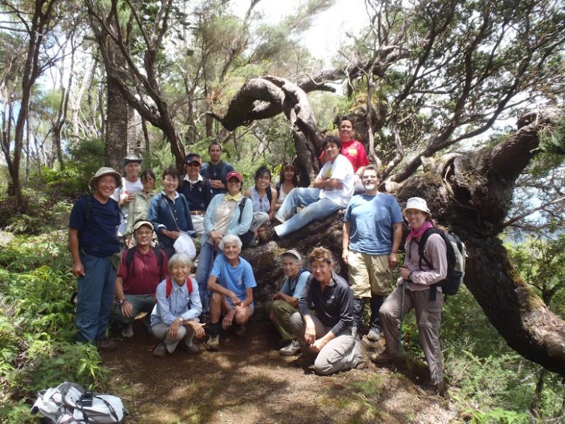 Introducing HTMC Clubhouse Resident Colleen Soares - Hawaiian Trail ...