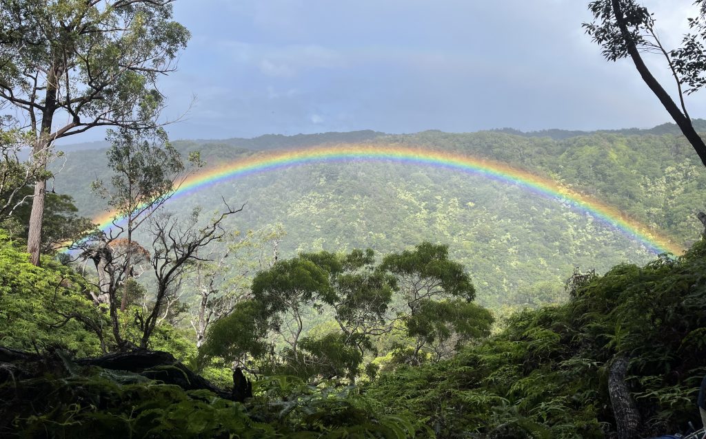 Ulu Kanu: Acacia Koa - Hawaiian Trail & Mountain Club