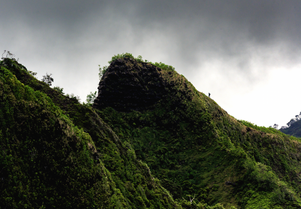 Ko'olau Summit Trail with Conrad Newfield - Hawaiian Trail & Mountain Corp.